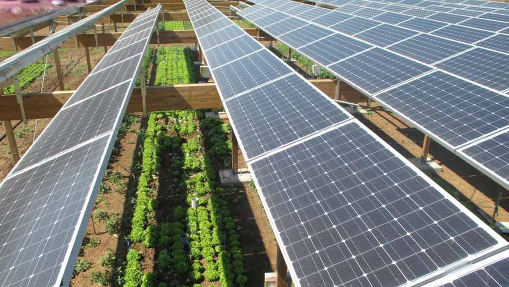 USDA Funds ‘Agrivoltaics’ Project Led by University of Illinois/iSEE ...