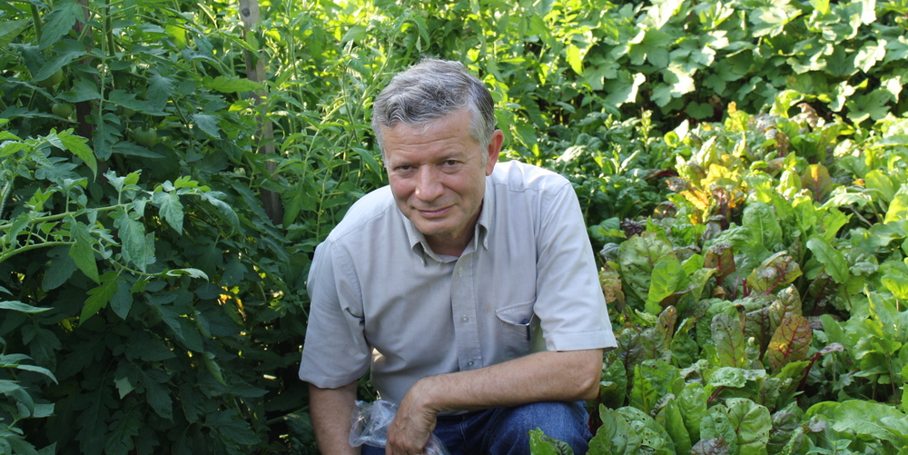 The Hidden Company That Trees Keep | School of Integrative Biology ...