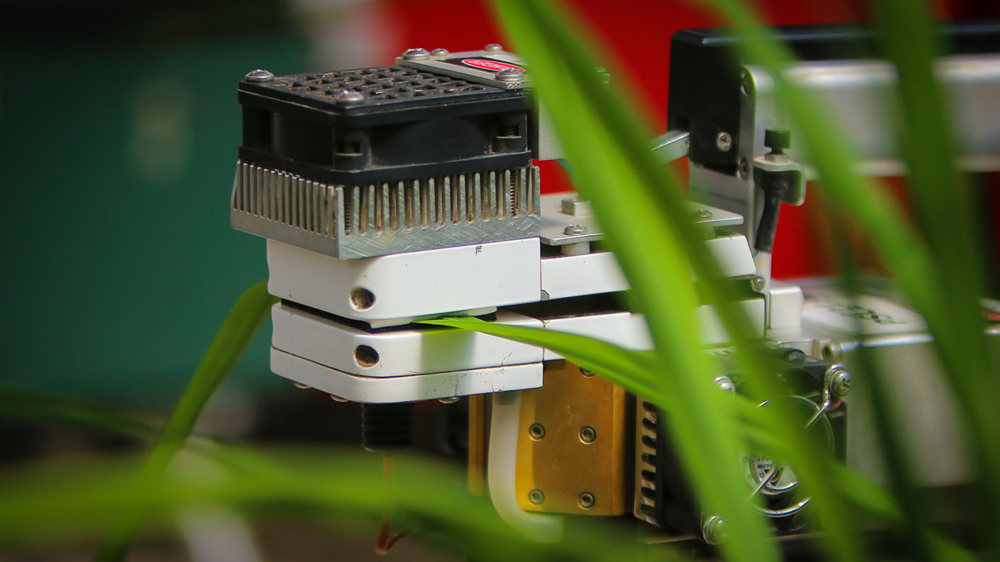 Comparing photosynthetic differences between wild and domesticated rice ...