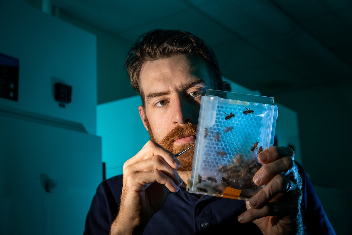 Entomology professor Adam Dolezal speaks with WCIA about bee deaths reaching historic highs ...