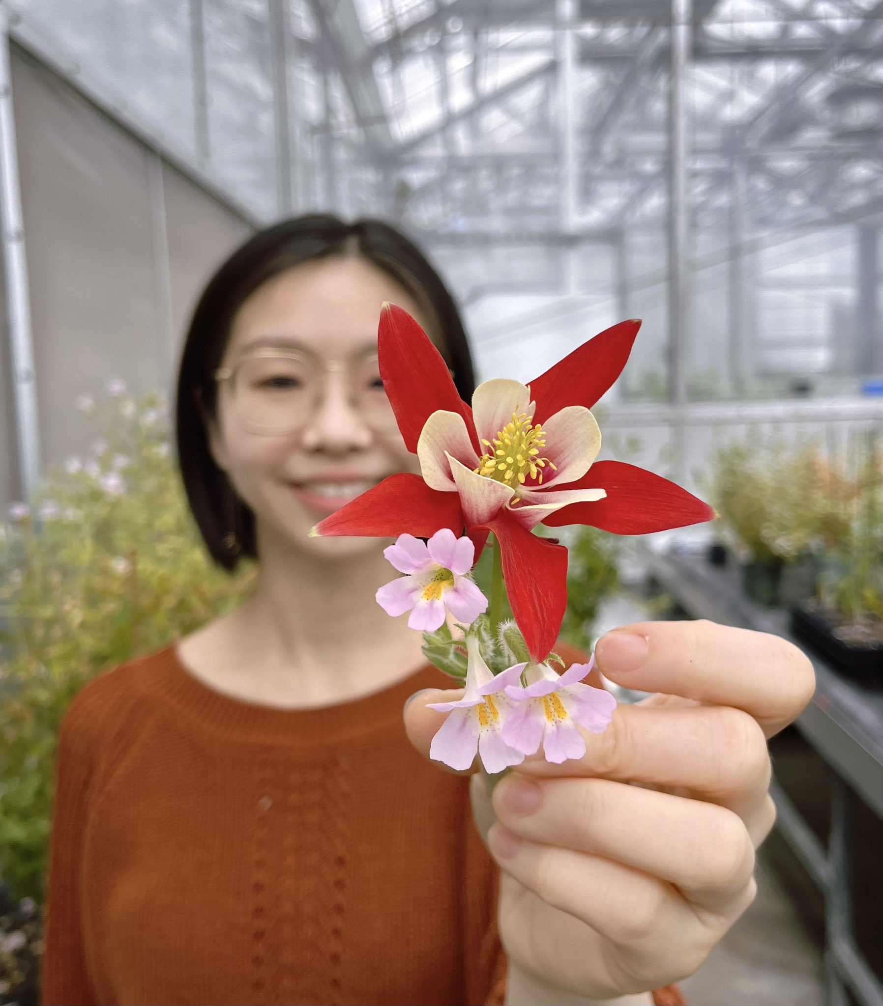 Scientists make new progress in understanding how flowers are built ...